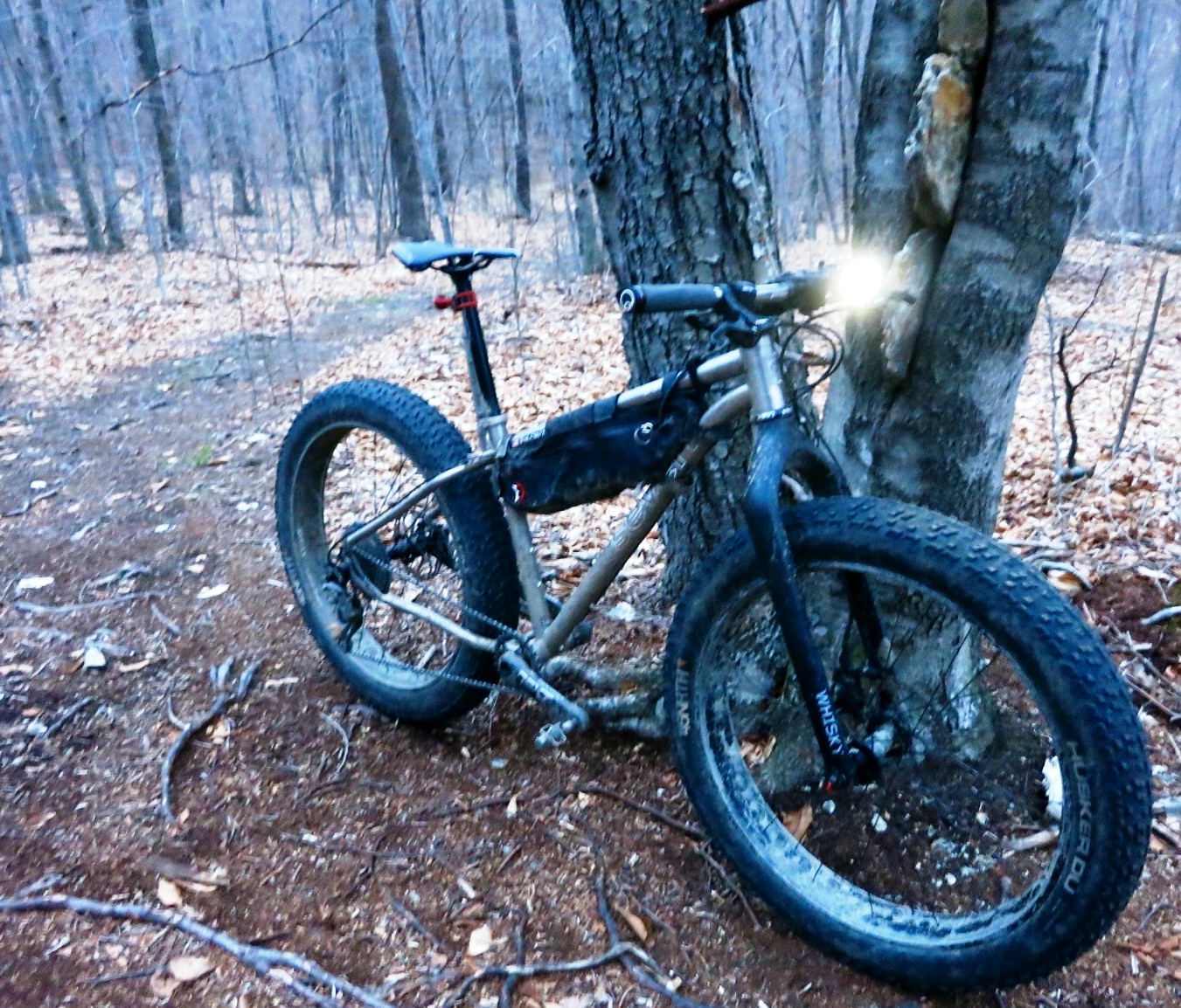 Joe Cruz, the Treeline SL Early Review – Seven Cycles